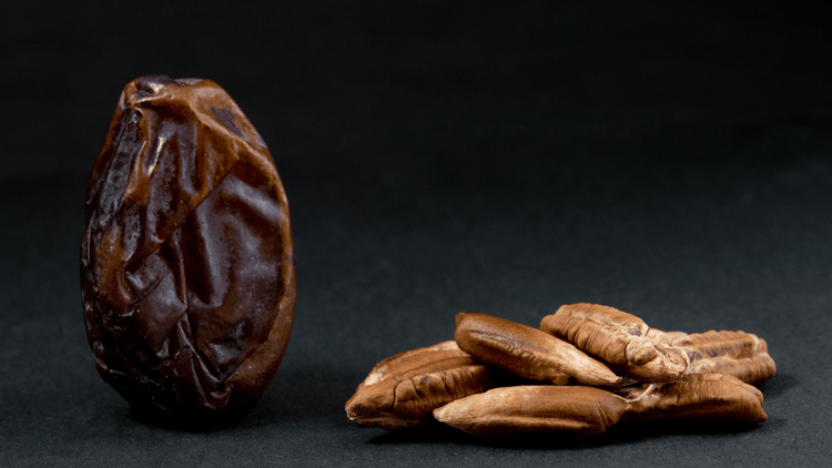 A Guide to Using Date Seed Coffee – Magic T
